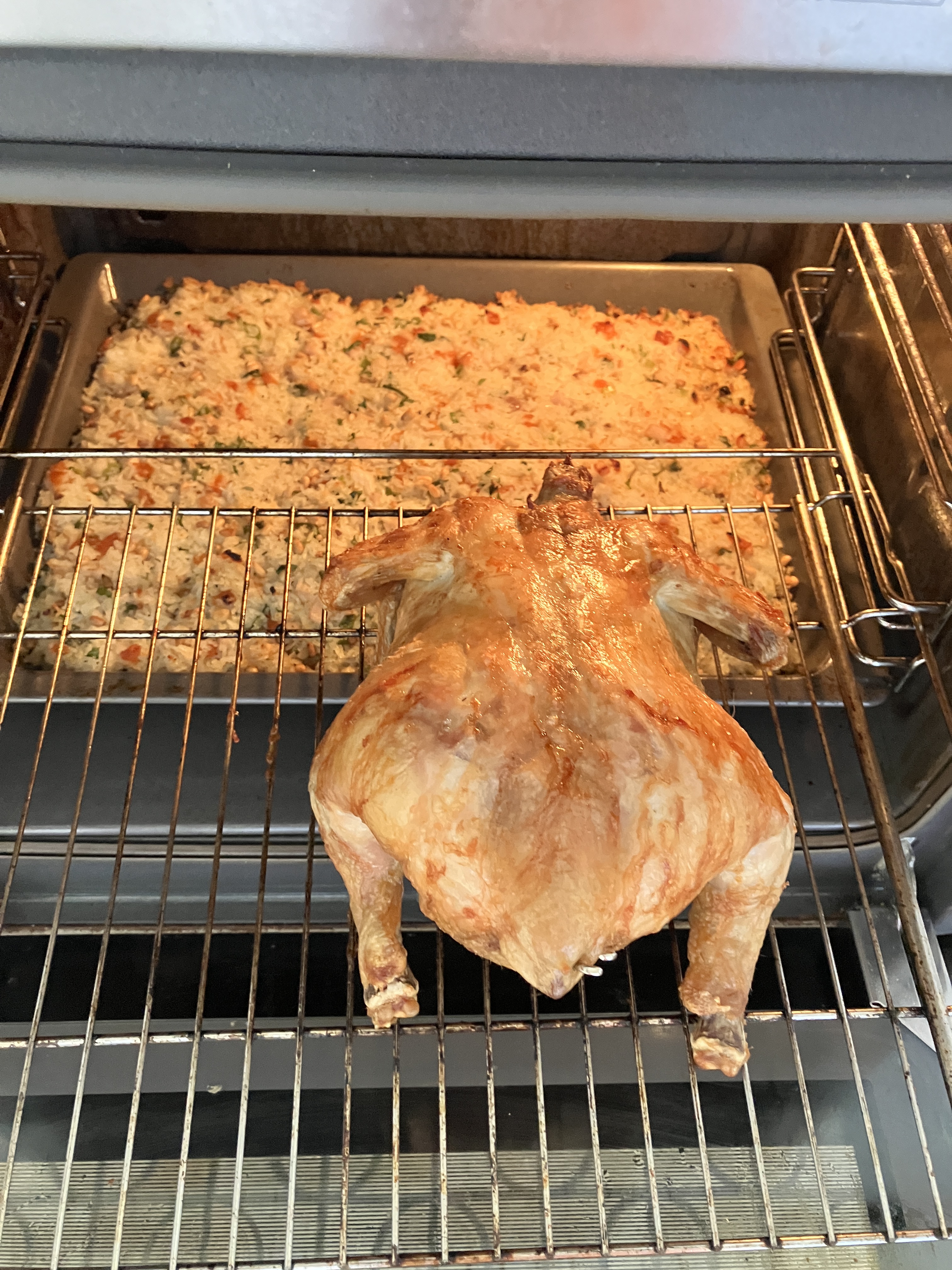 Roast chicken with turkey rice Italian Seasoning stuffing – helenscchin ...
